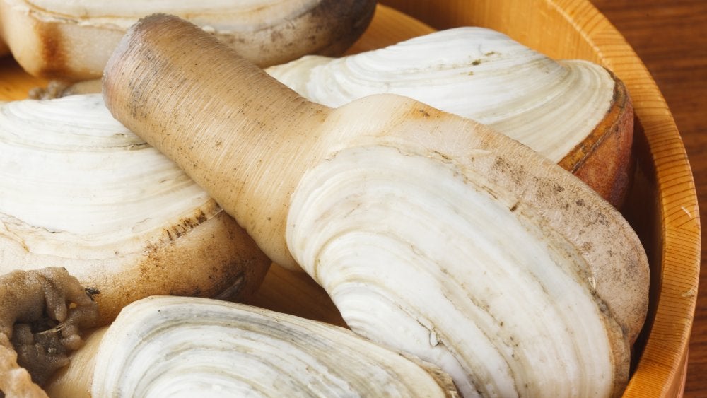 FRESH Salish Sea Geoduck Clams (Local, Whole) | Lummi Seafood Market